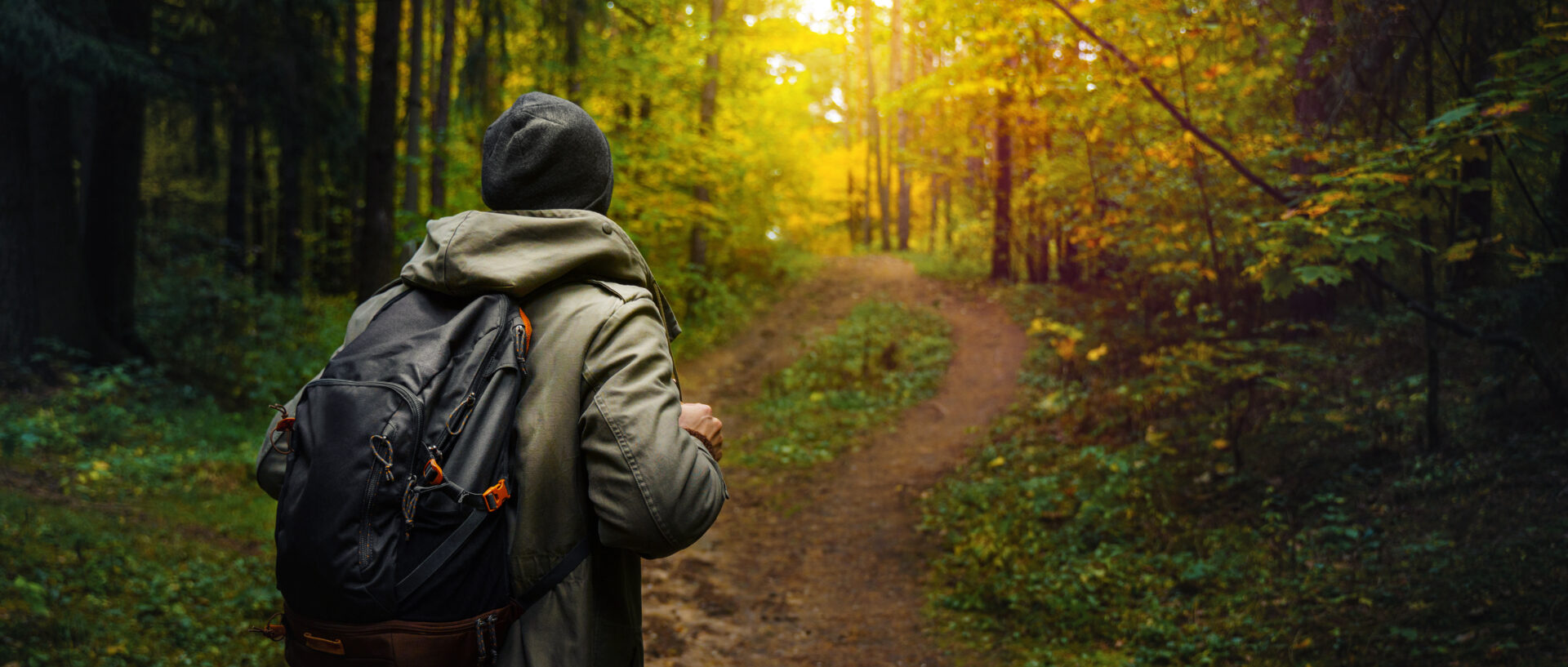 Take A Hike! 4 Health Benefits Of Hiking - Sunshine Coast