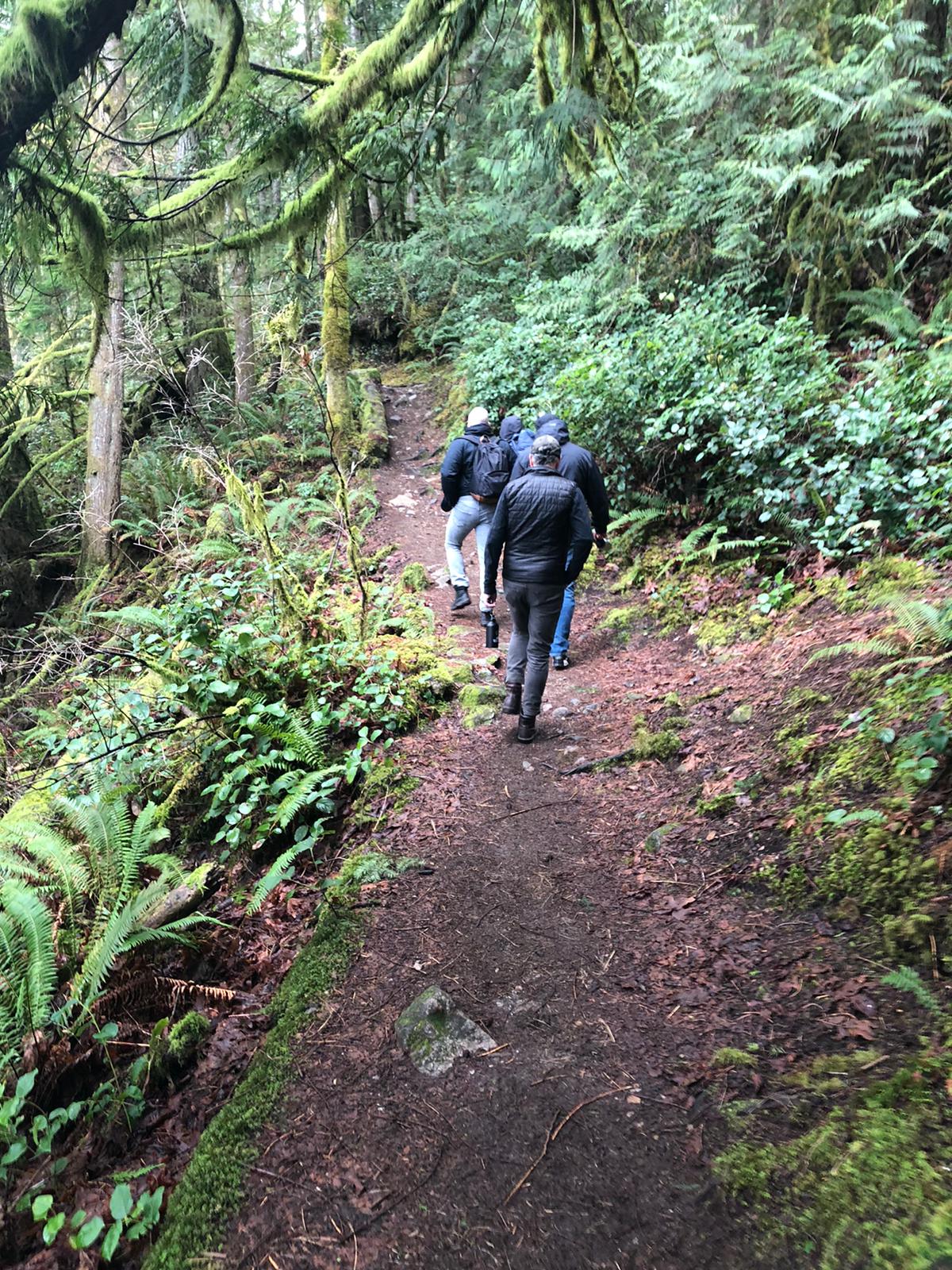 Take A Hike! 4 Health Benefits Of Hiking - Sunshine Coast