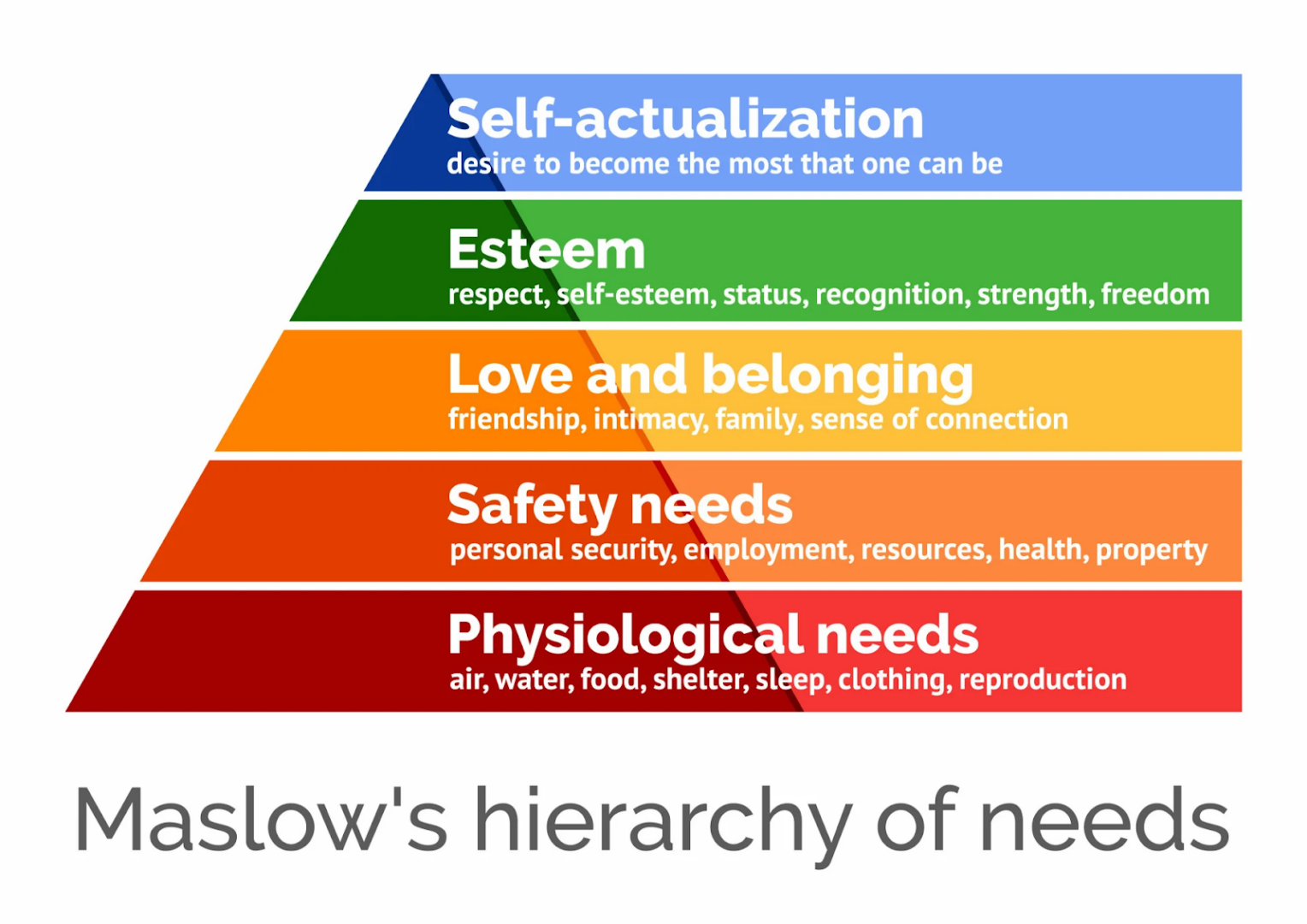 Needs vs. Wants In Life and Recovery - Sunshine Coast
